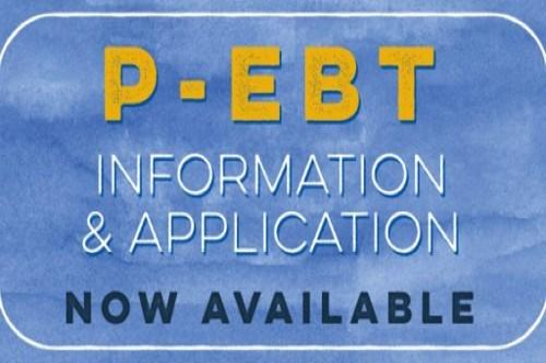 LOUISIANA EXTENDS P-EBT APPLICATION DEADLINE TO JUNE 15 | Jackson ...