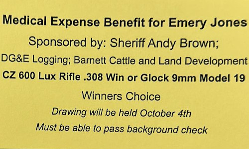 Medical Expense Benefit raffle for Emery Jones being held | Jackson ...