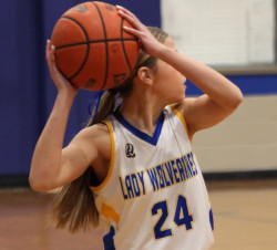 Eighteen area hoopsters set new career marks this past week | Jackson ...