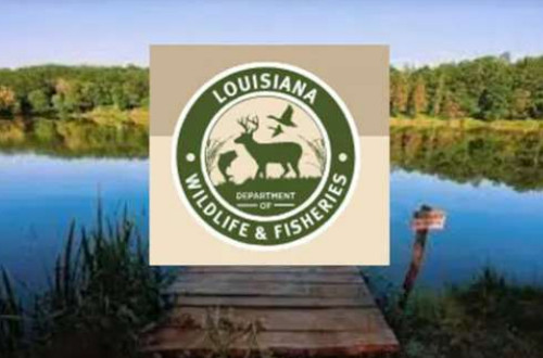 LDWF arrests Jackson Parish man for operating a vessel while impaired ...